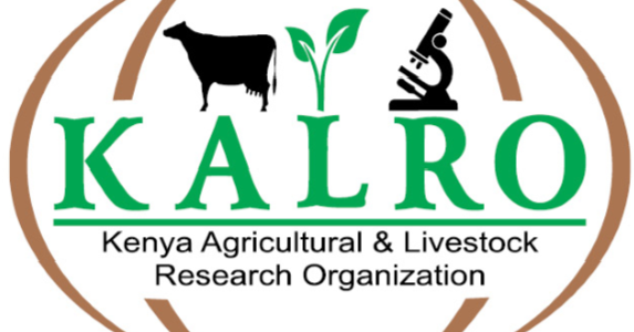 MLN Diseases portal » MLN Kenya