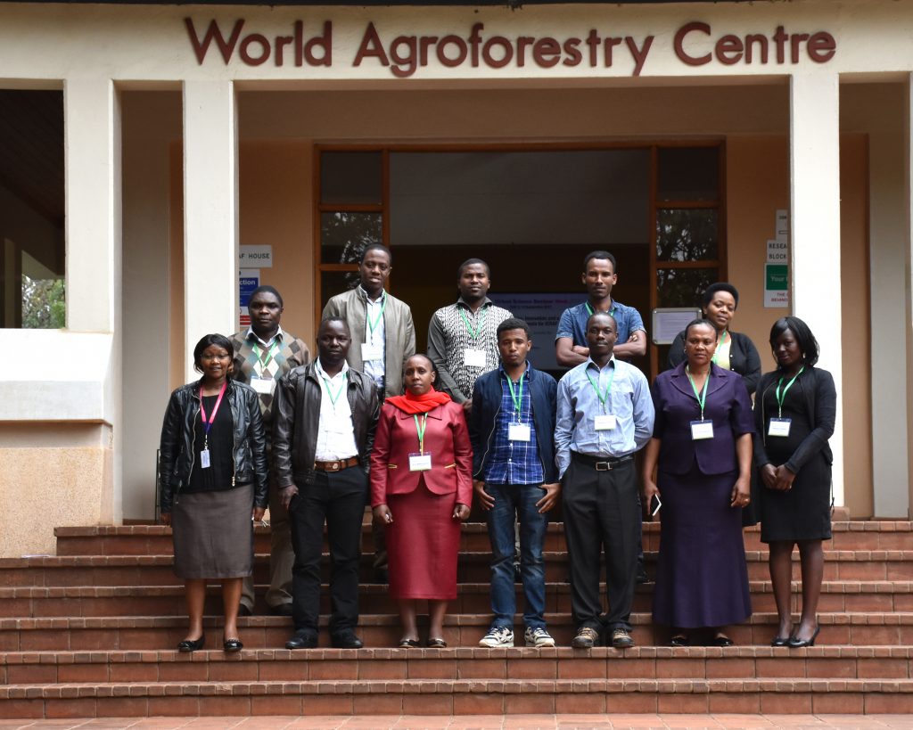 MLN Diseases portal » Capacity Building : Seed testing training for ...