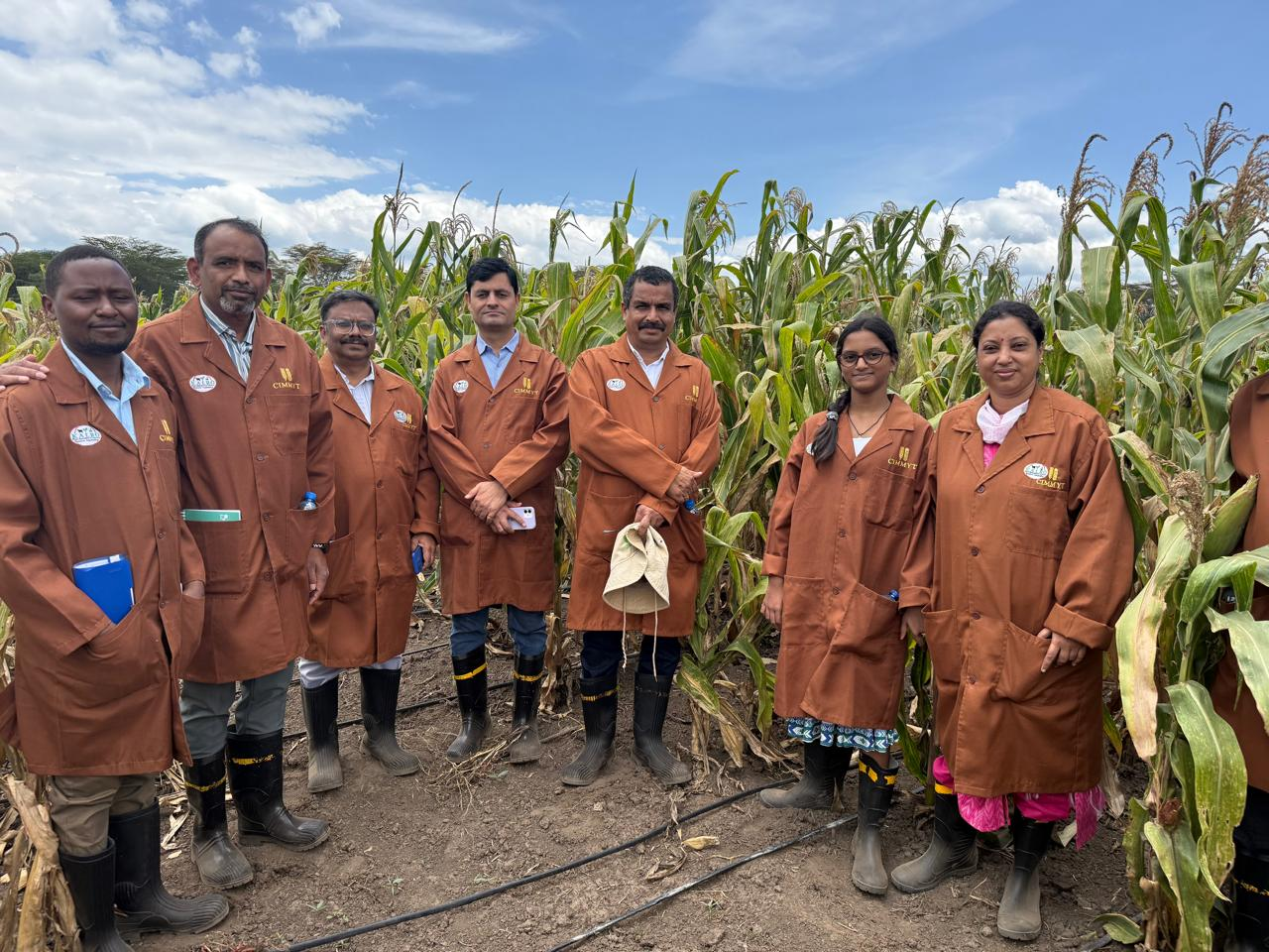 MLN Diseases portal » Cross-Continental Learning: Indian Maize ...